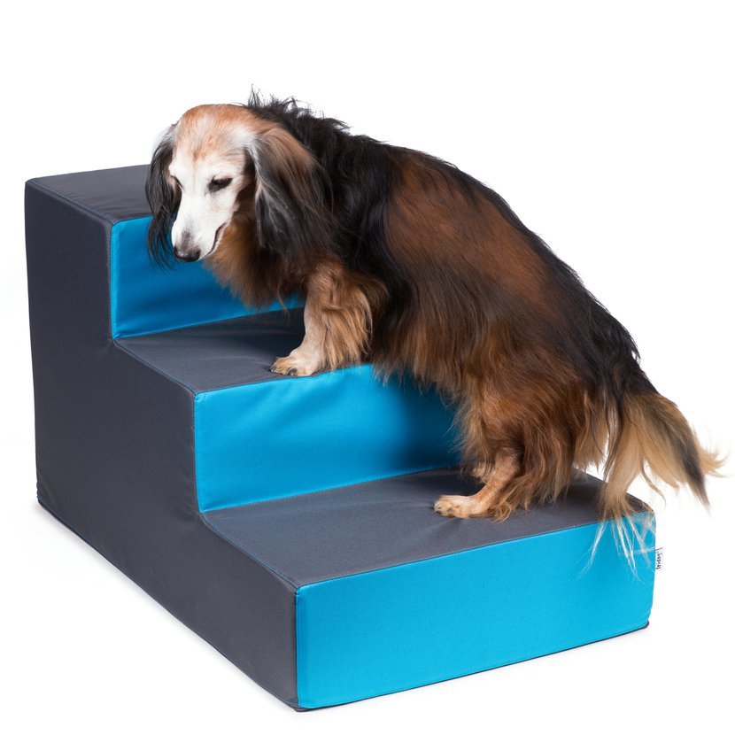 Schody pro psy STEPPIE no.4 šedé s tyrkysovou | Výroba a prodej ...